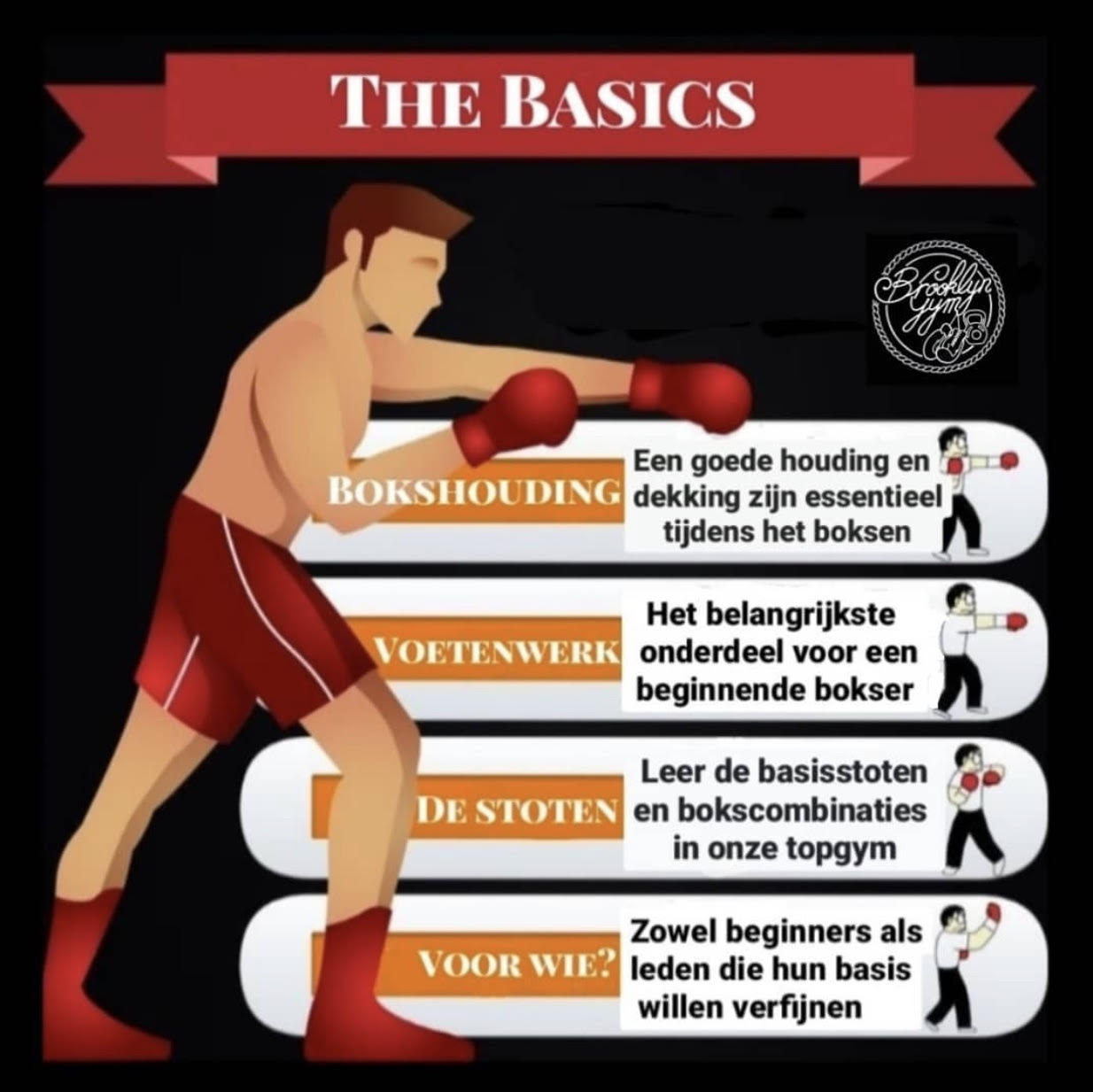 Bokszaktraining Basics • Brooklyn Gym